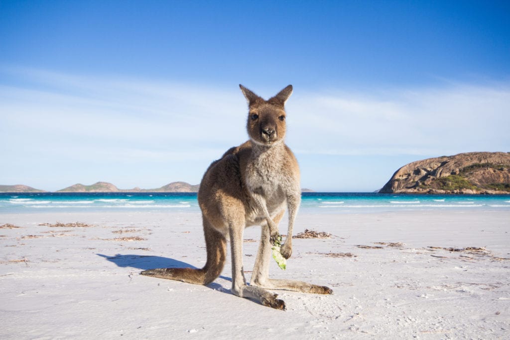 5 Breathtaking Hikes in Exotic Locations Worldwide - TravelOn!