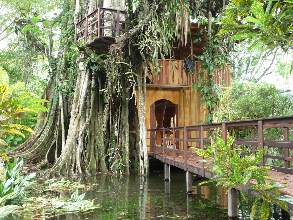 Treehouse Hotel? Top 15 Magical Treehouse Around The World You Can Rent ...