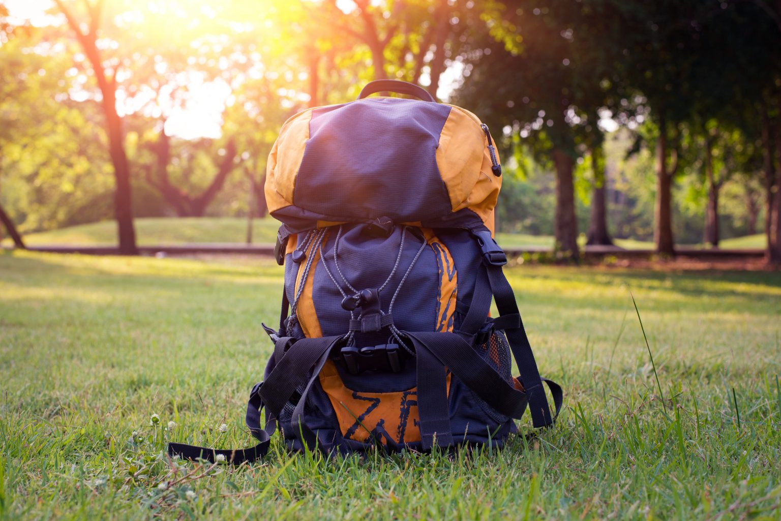 Best Backpacking Backpack for Heavy Loads - TravelOn!
